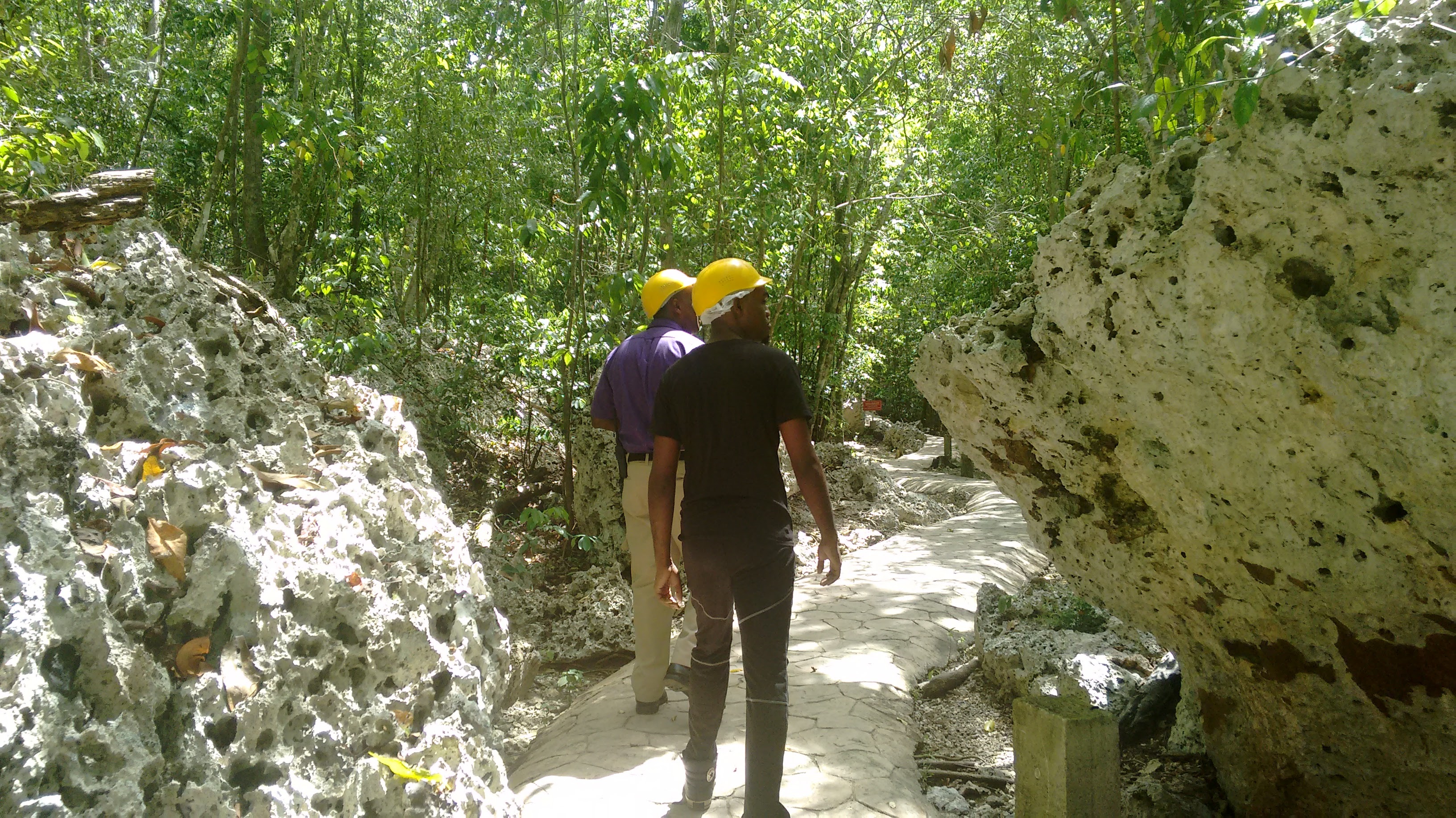 green-grotto-caves-outside - Jattractions